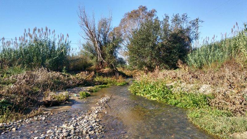 Les millors rutes per rius – SENDERISME EN TREN